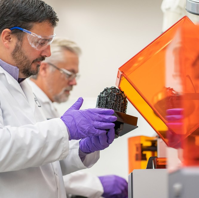 Discovery & Development - MSD Belgium