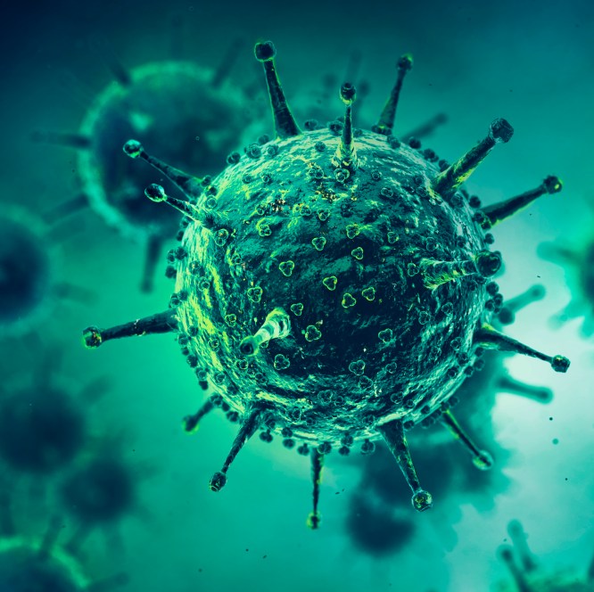 Infectious Diseases - MSD Belgium